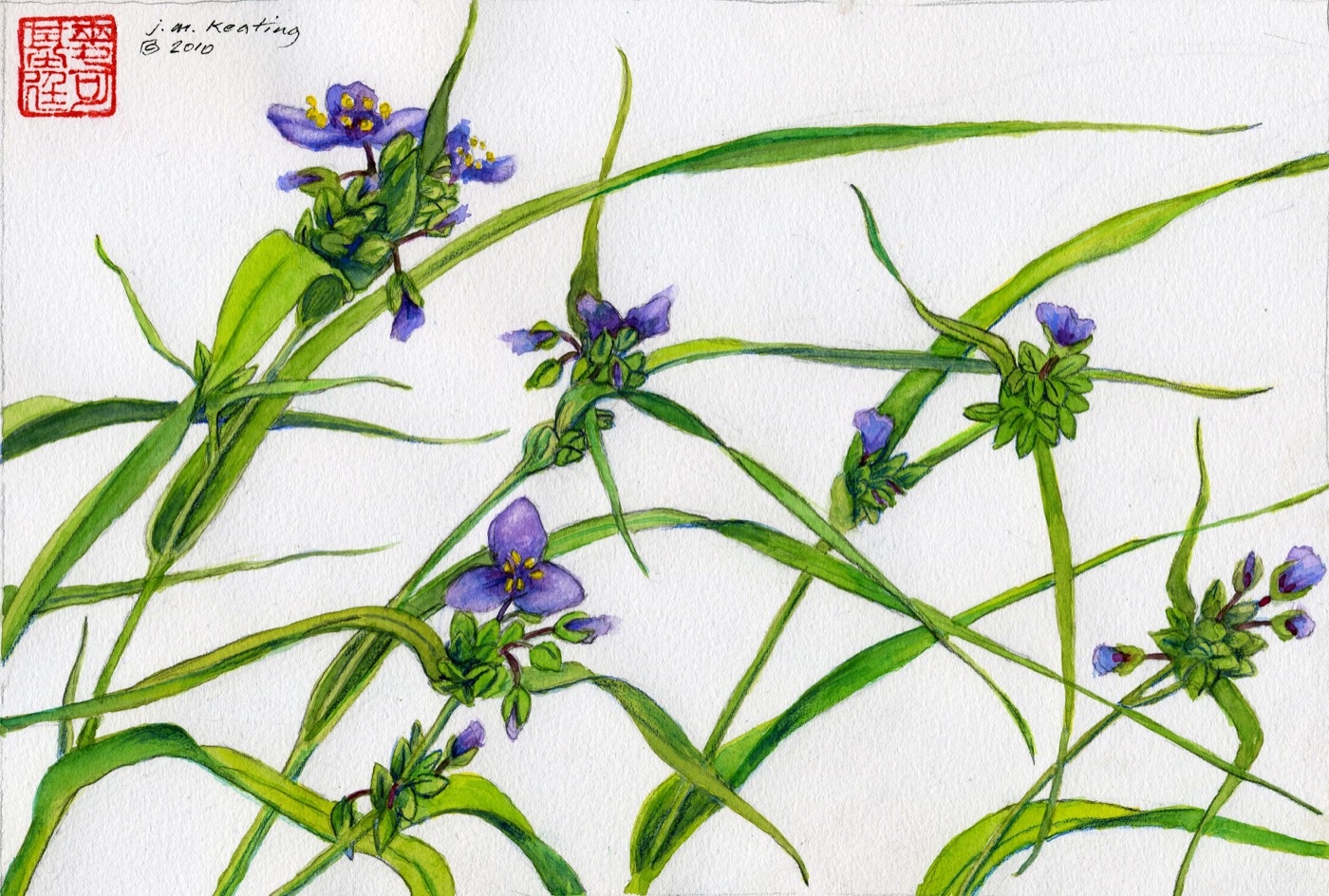 Spiderwort – John Michael Keating