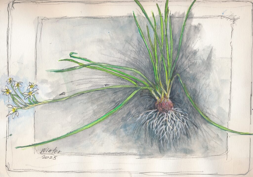 Another White – John Michael Keating