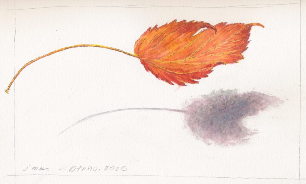 Iris in October, 2025 – John Michael Keating